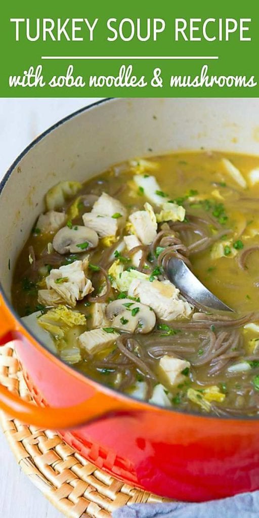 Turkey Soup Recipe with Soba Noodles - Cookin Canuck